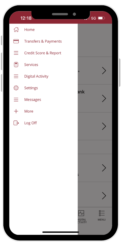 Digital Security in Missouri | FSCB